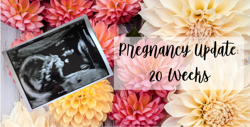 Pregnancy Update: 20 Weeks – Cait and Co. Blog